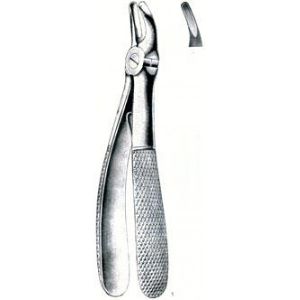 Tooth Instrument - Emerald Instruments